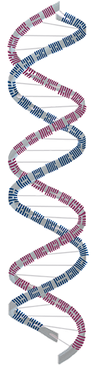 DNA and the I Ching: The Integration – Taobabe